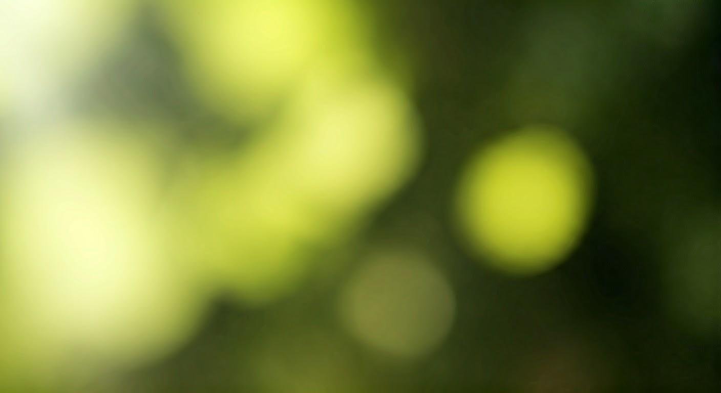 The Ultimate 5-Step Skin Care Regimen for Oily Skin - Yukon Mobile Face ...